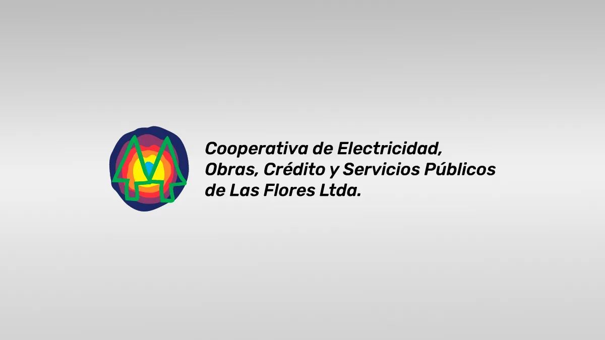 Sr. HUGO ORLANDO VELAZQUEZ - Cooperativa de Electricidad de Las Flores